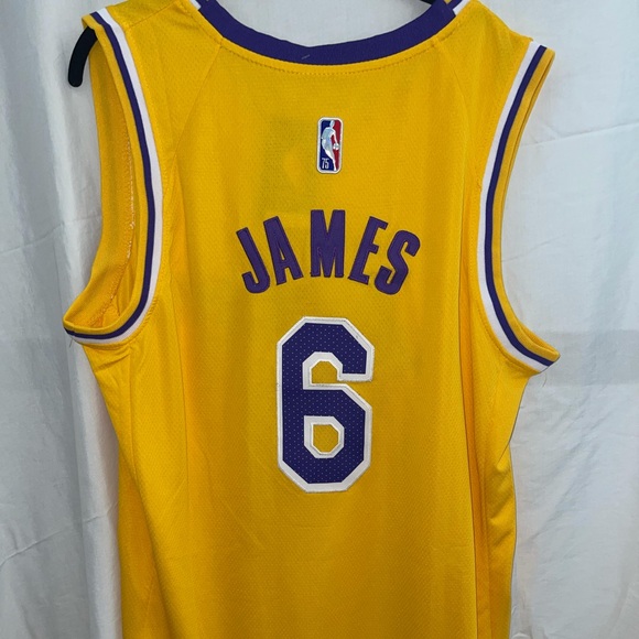 Shirts | Lebron James Los Angeles Lakers Jersey 6 | Poshmark